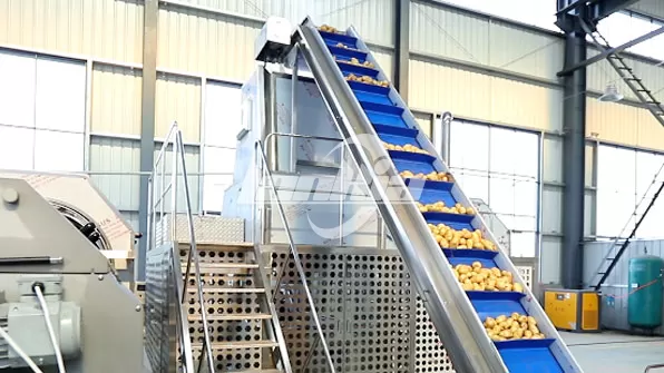 How Steam Peelers Reduce Product Loss Compared to Conventional Peeling ...