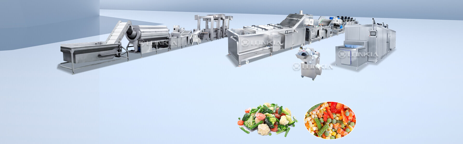 Frozen Vegetable Processing Line - LONKIA