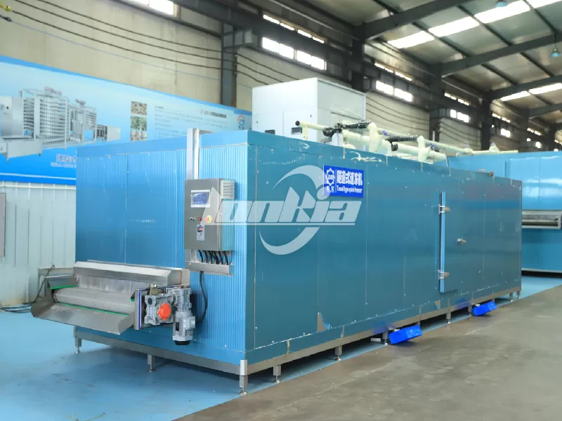 Individual Quick Freezing vs. Blast Freezing: Which Is Better for Your ...