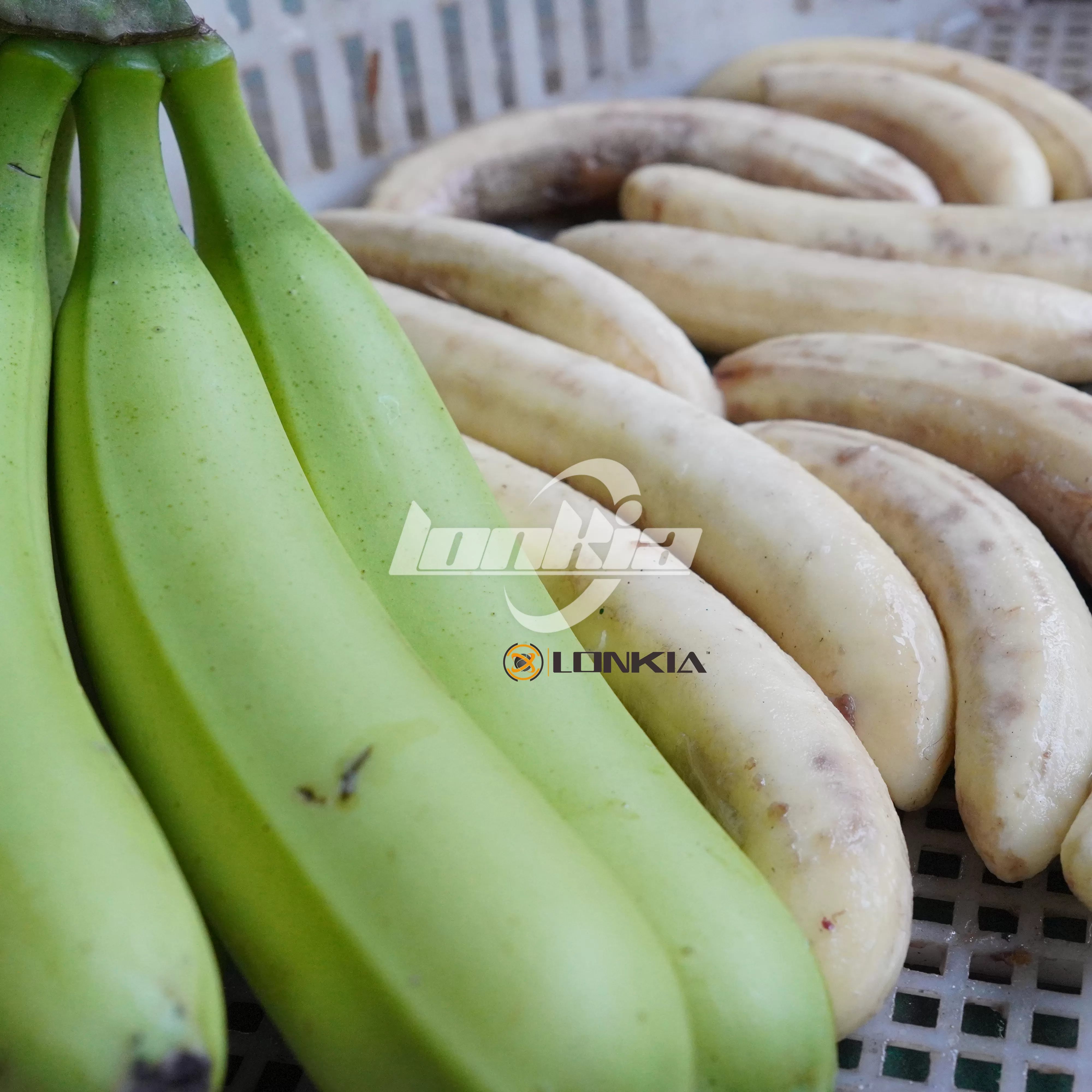 Steam vs. Mechanical Banana Peeling: Which Is More Efficient and ...