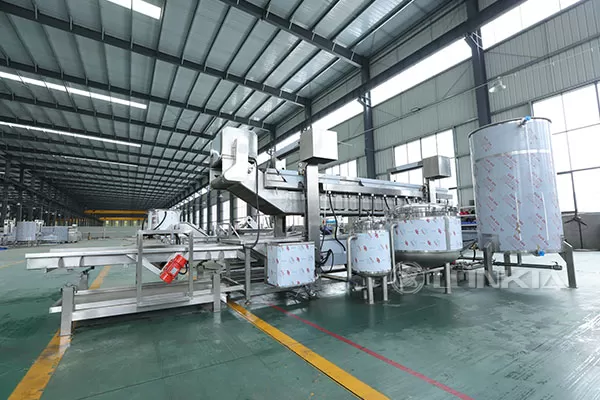 Continuous Industrial Fryers Machine - LONKIA
