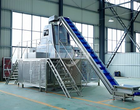 Flash Steam Peeling: How It Revolutionizes Modern Food Processing - LONKIA
