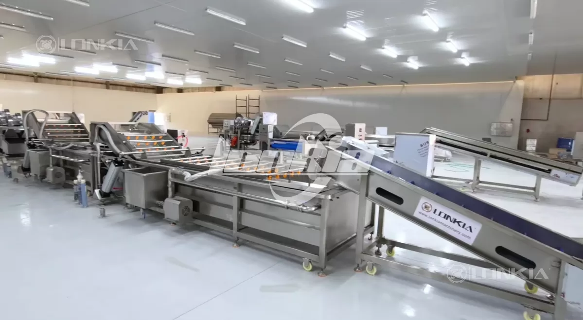 A Jordanian Vegetable Processor Transforms Efficiency with LONKIA’s ...