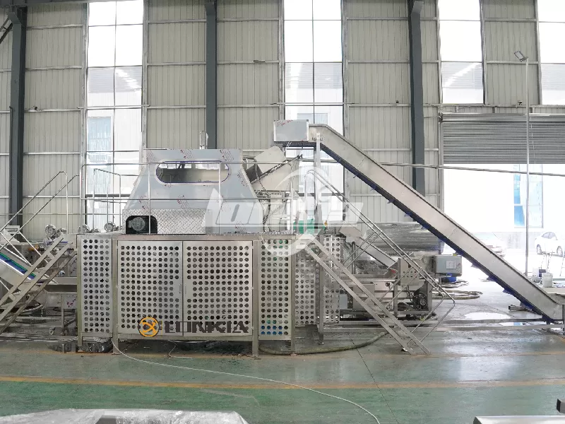 Steam Peeler Technology: How It Improves Efficiency in Vegetable ...