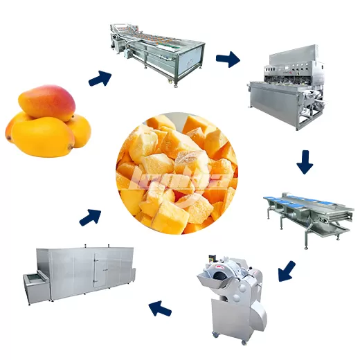 Frozen Mango Processing Line - LONKIA